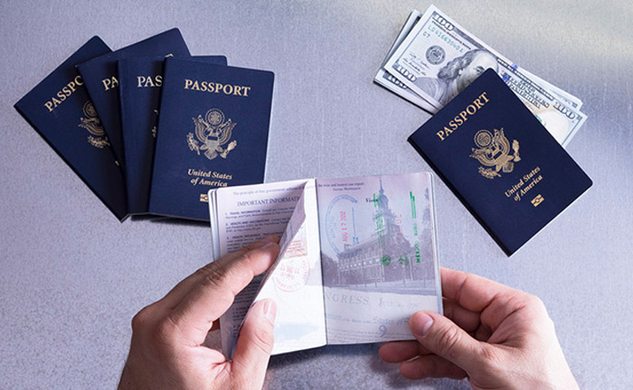 Passport Scanner - Wiontone official website | passport scanner ...