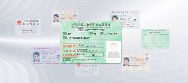 Driver's License - Wintone official website | Driver's license ...