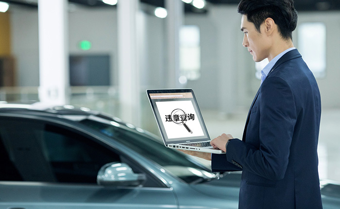 Driver's License - Wintone official website | Driver's license ...